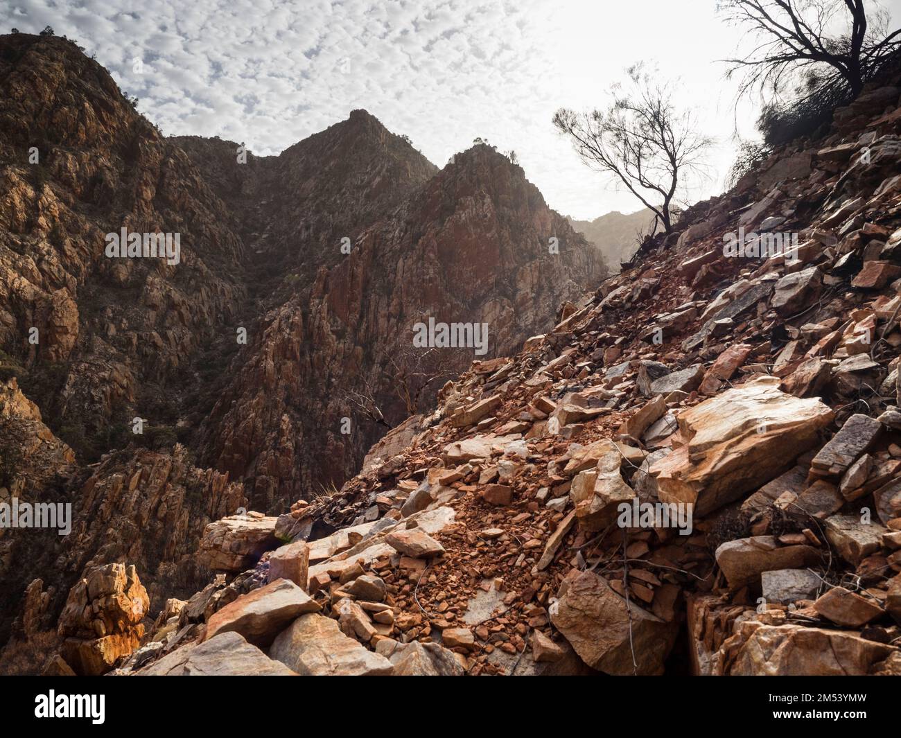 Wild jagged peaks and burnt trees above Standley Chasm on Section 3 of ...