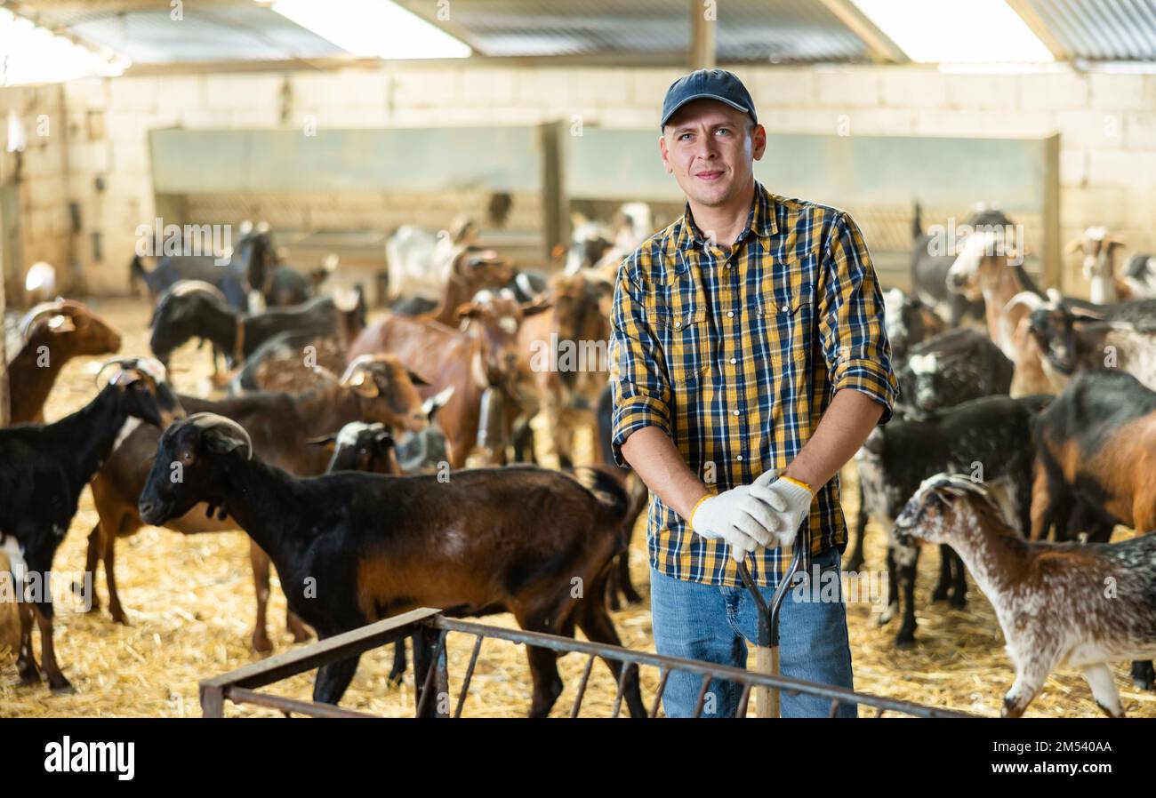 Profwssional young European man farmer in plaid shirt leveling hay and ...