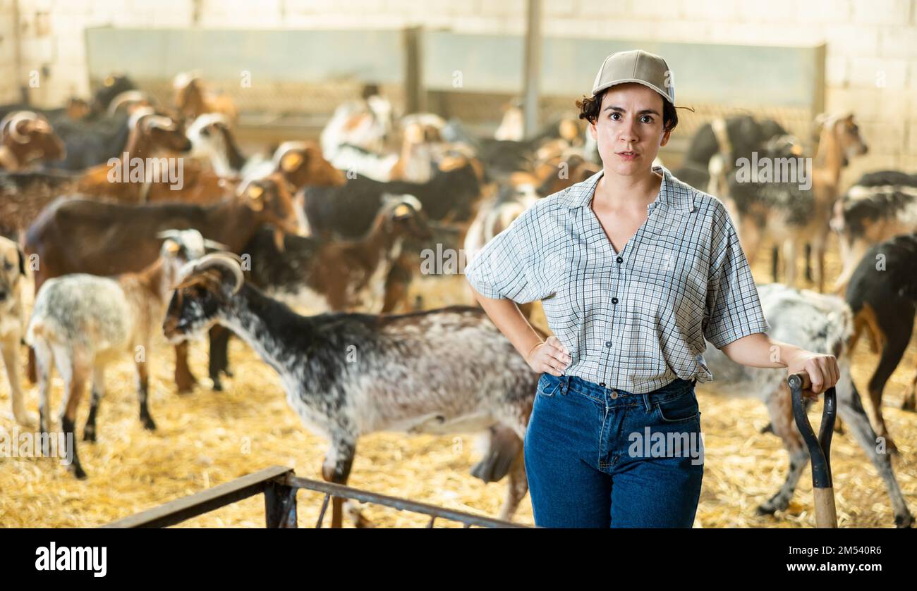 Portrait of latino woman owner of goat farm Stock Photo - Alamy
