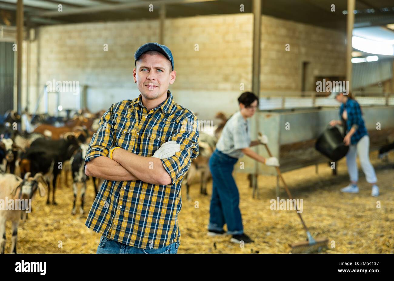 Portrait of man professional goat breeder in stall on goat farm Stock ...