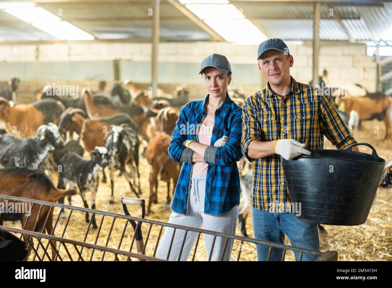Rural woman goat animal husbandry hi-res stock photography and images ...