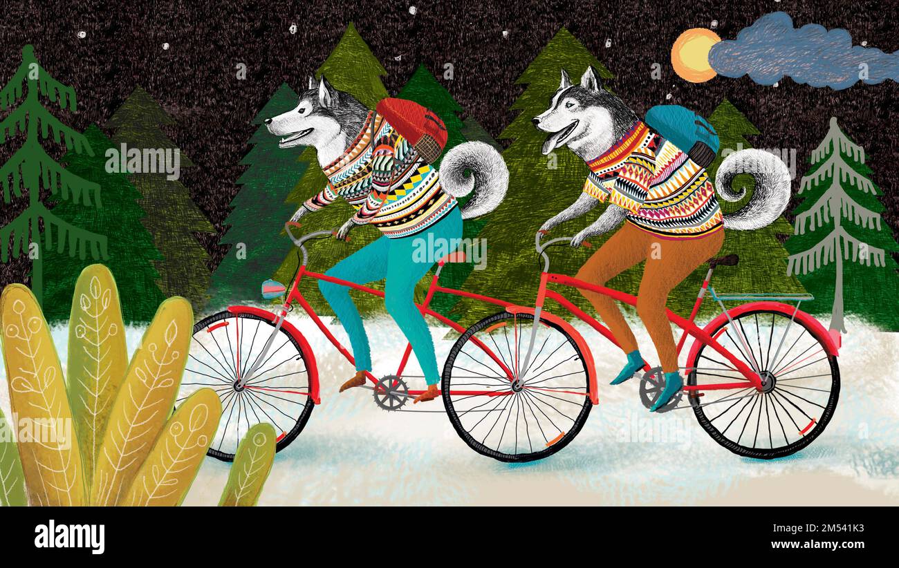 two huskies dogs riding bicycle in the forest in moon night. Double ...
