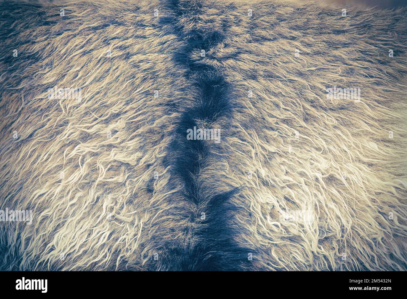 Goat fur structure.Close up of brown goat hair Stock Photo - Alamy