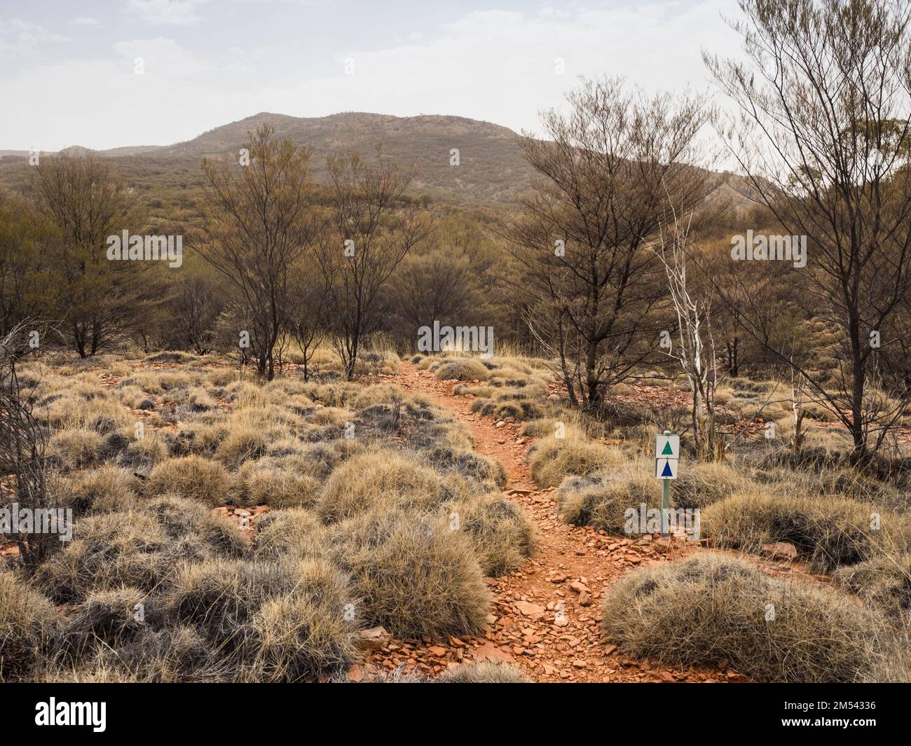 Colour-coded track markers on the Chain of Ponds walk, Trephina Gorge ...