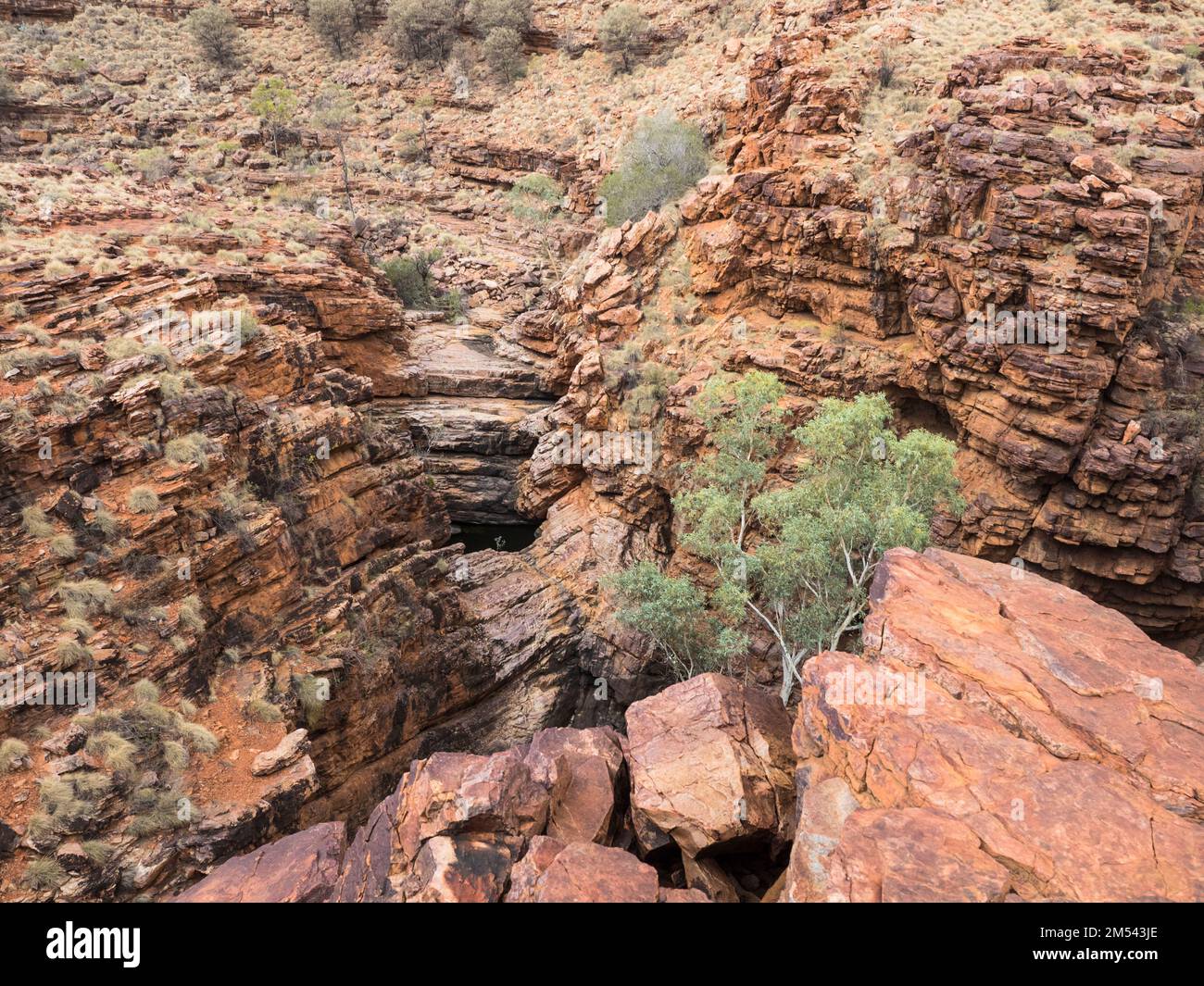 Looking towards the dry creek bed on the Chain of Ponds walk, Trephina ...