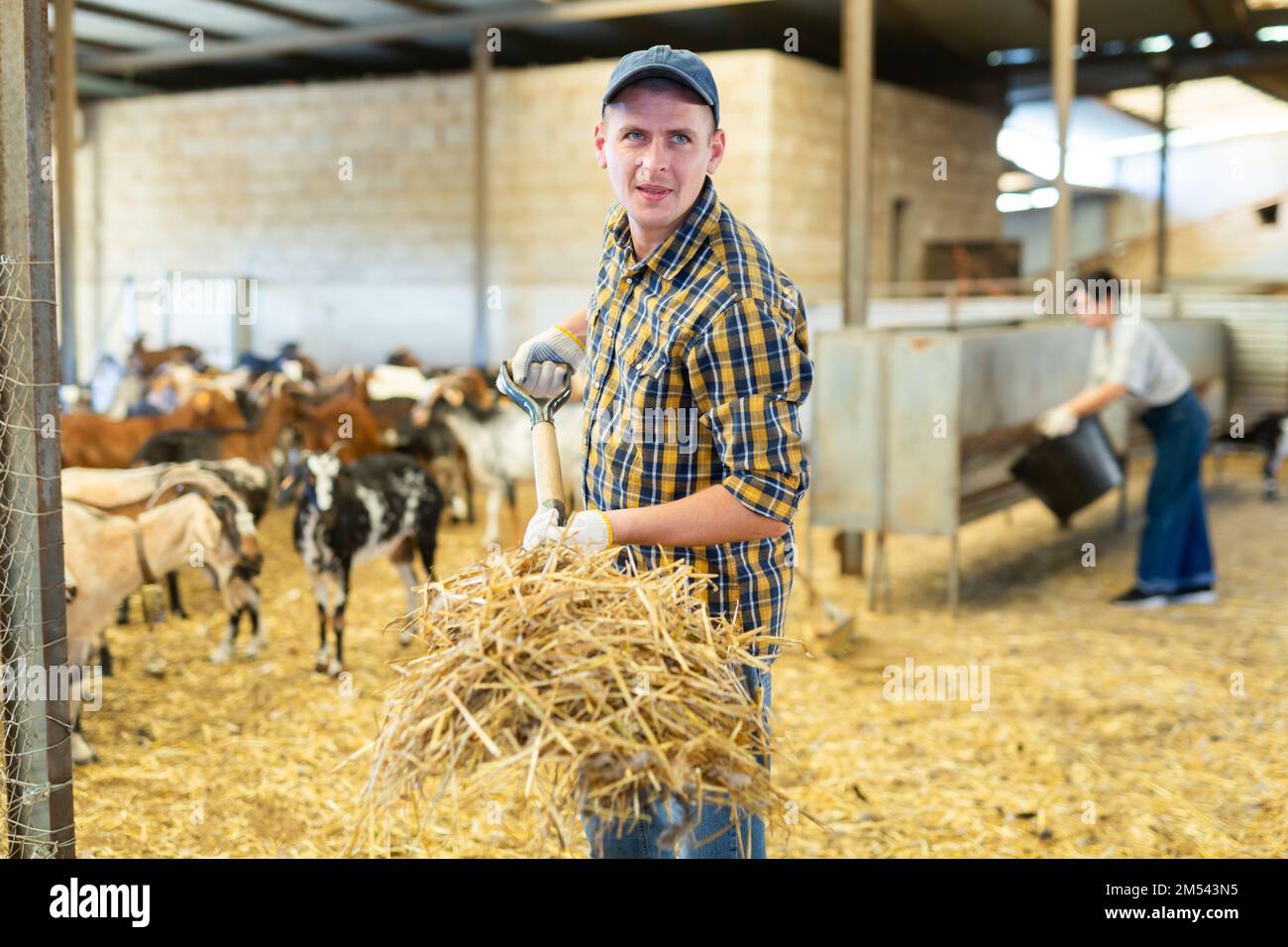 Milk farmer denmark hi-res stock photography and images - Alamy