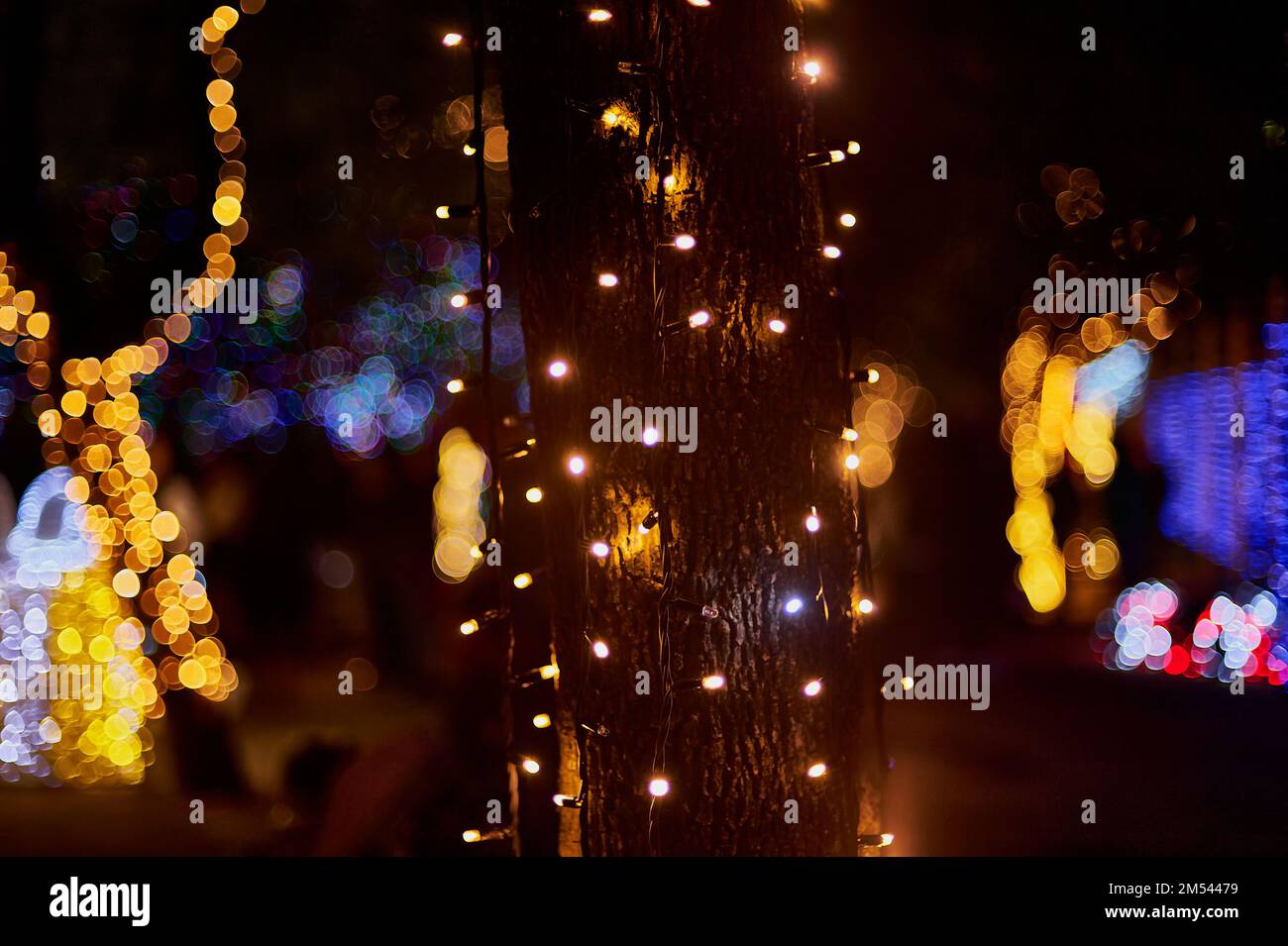 Close-up of a tree with colored lights around it and luminous ...