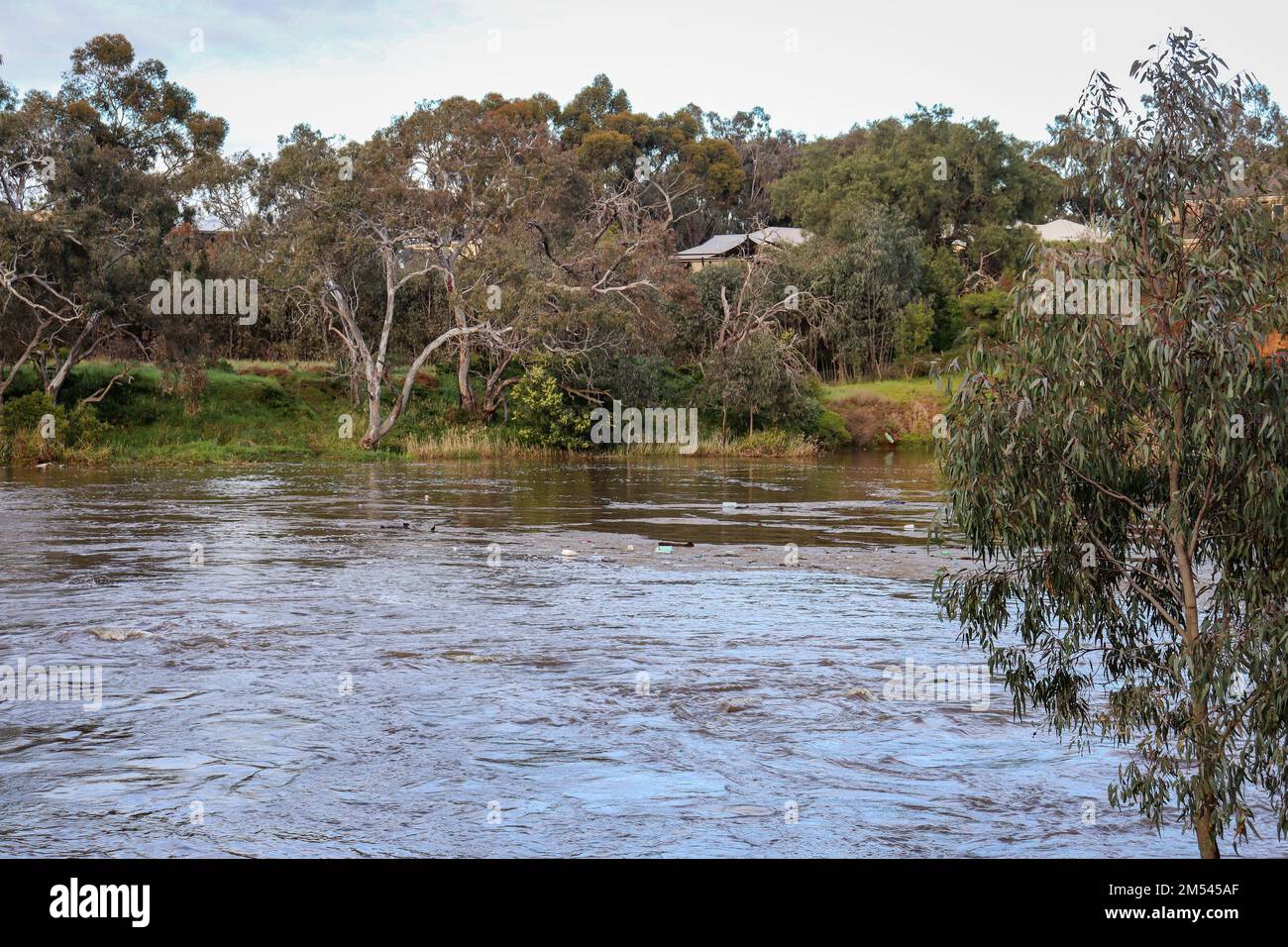 A scenic shot of Werribee River in a flood after heavy rain in Australia Stock Photo - Alamy