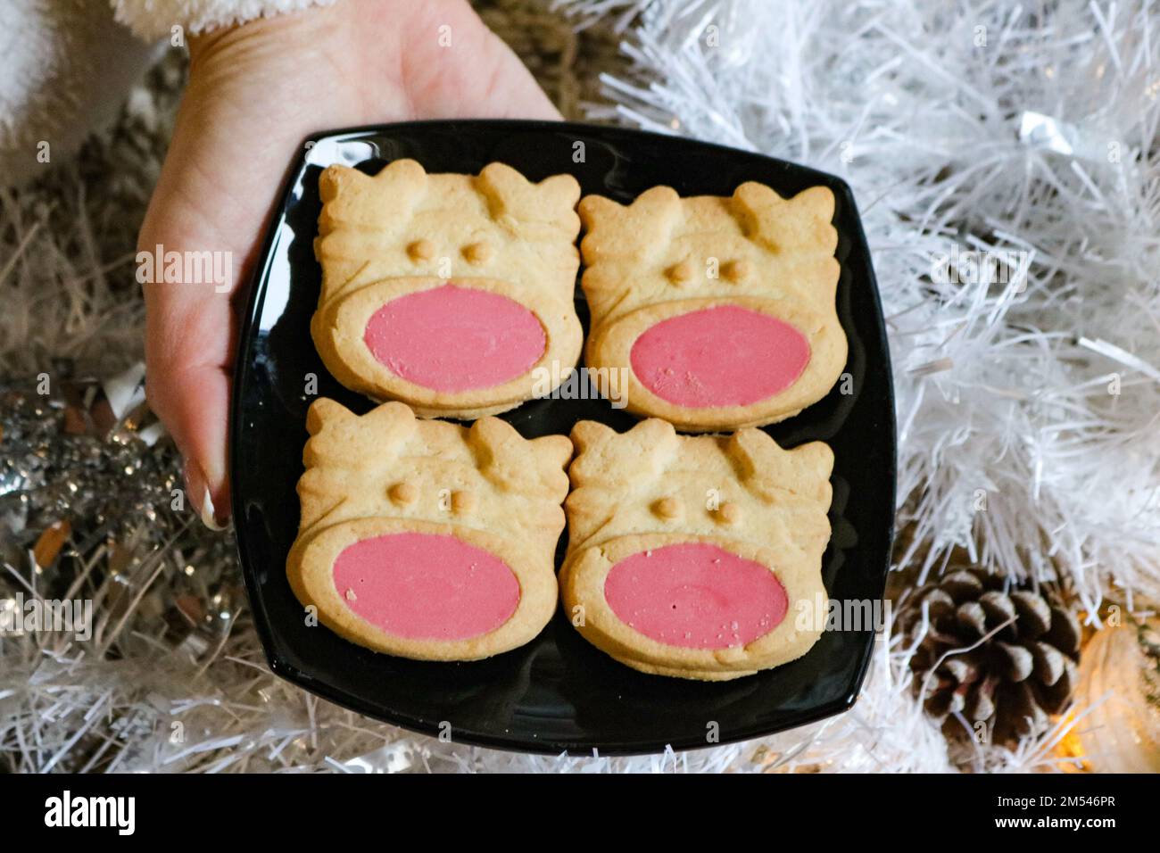Festive biscuits hi-res stock photography and images - Alamy