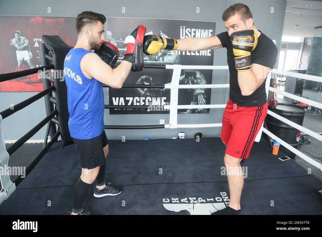 Kickbox fighter boxing in ring hi-res stock photography and images - Alamy
