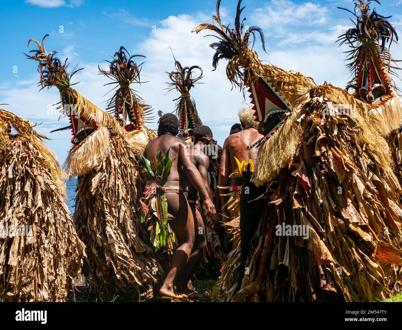 The ROM dance, or black magic,a traditional dance on Ambrym Island ...