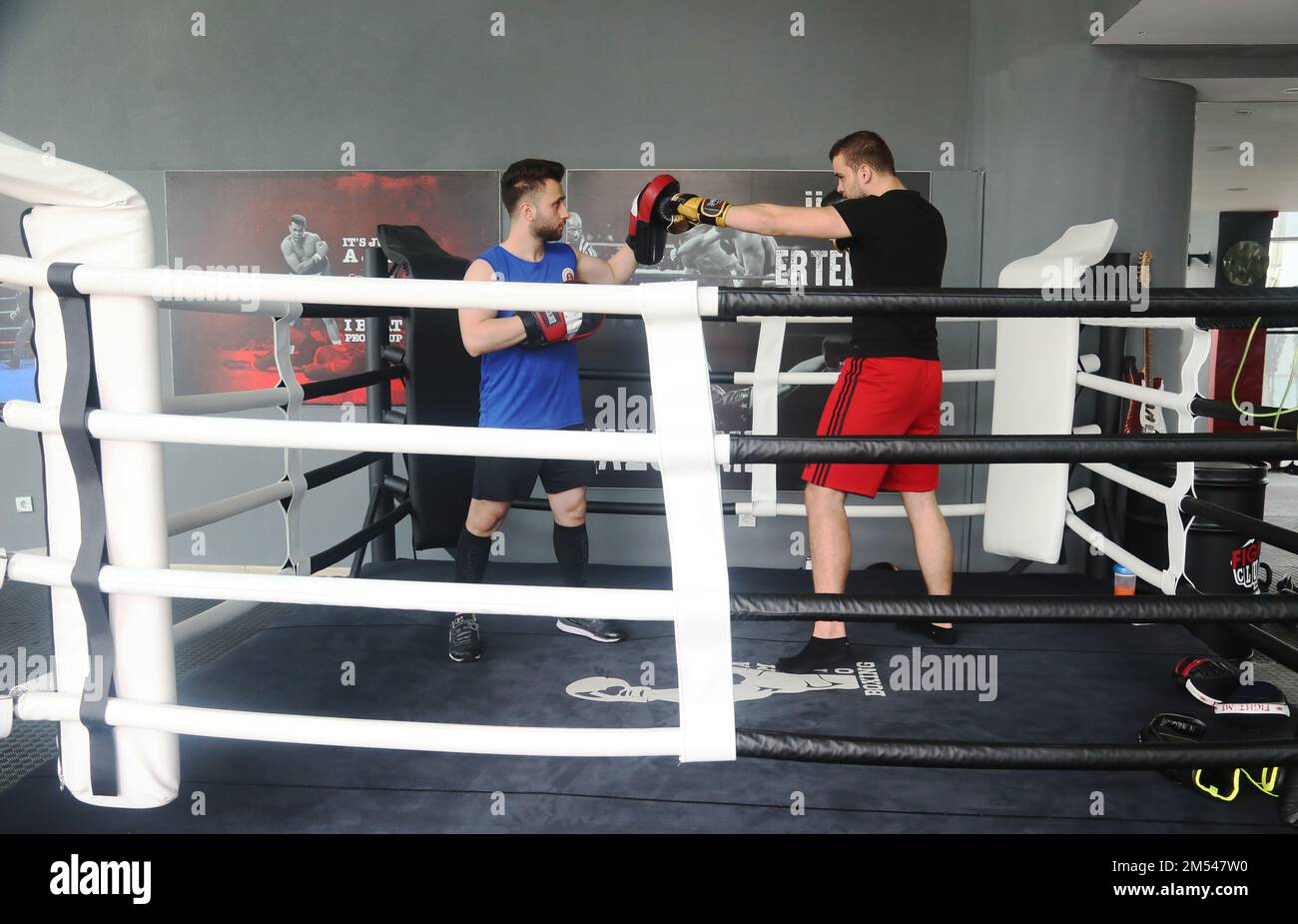 Kickbox fighter boxing in ring hi-res stock photography and images - Alamy