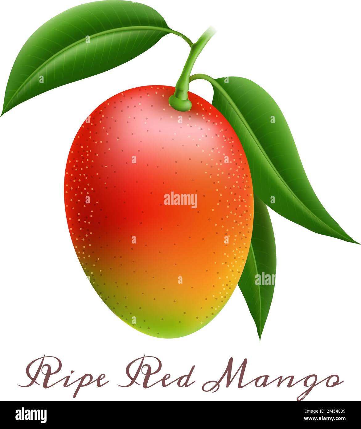 Realistic 3d red hanging Cut Out Stock Images & Pictures - Alamy