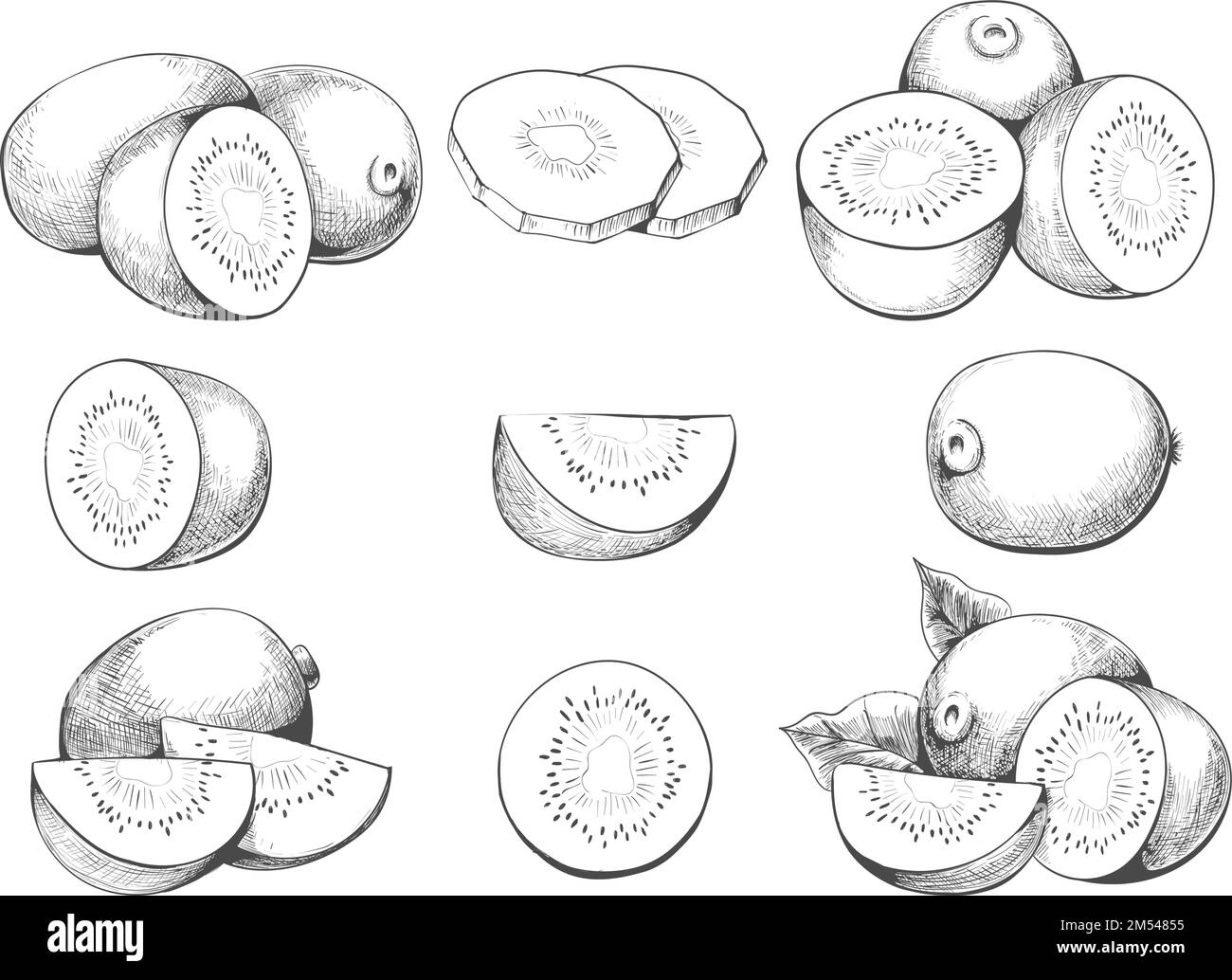 Cut into slices Black and White Stock Photos & Images - Alamy