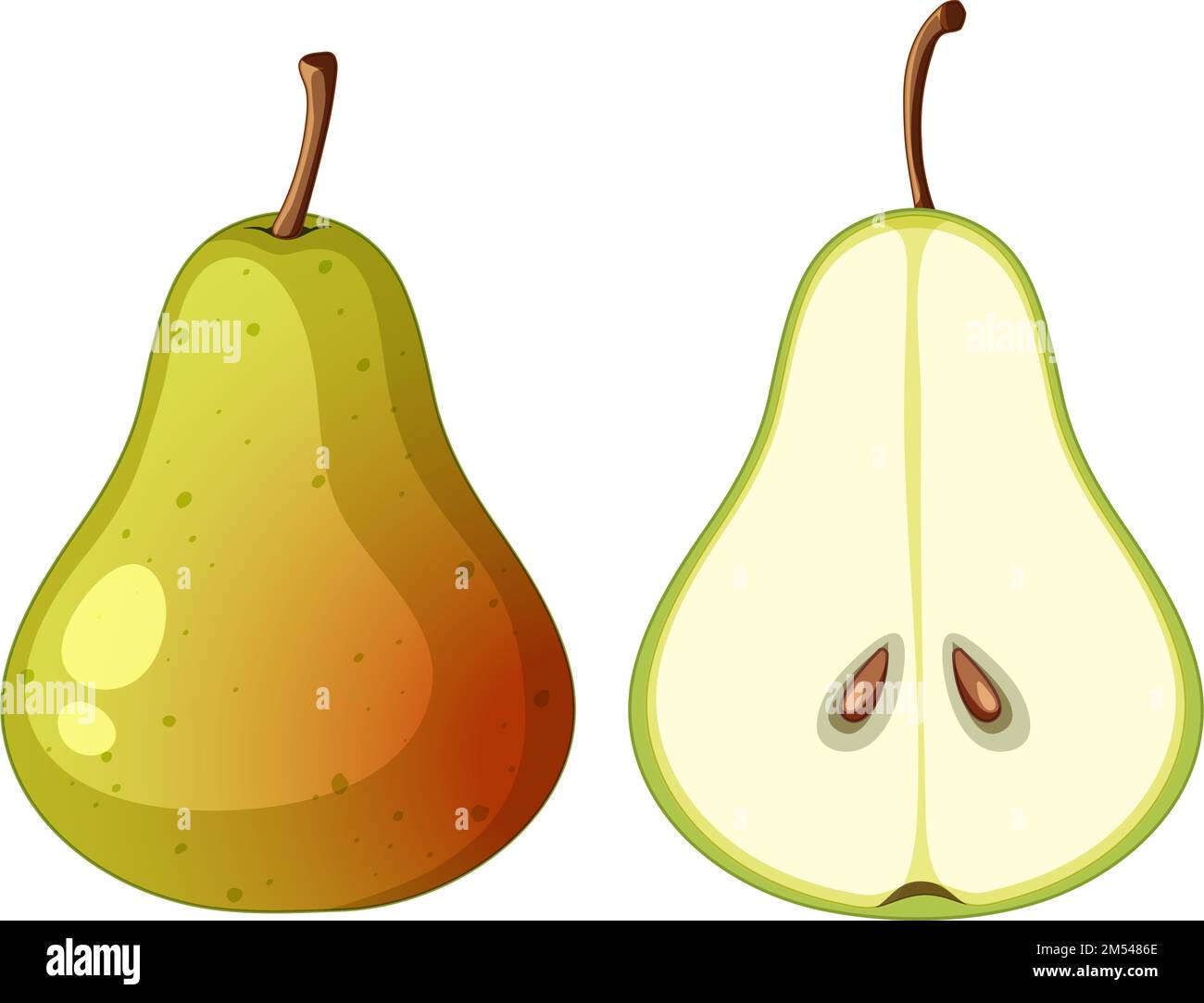 Ripe pear and half of pear illustration Stock Vector Image & Art - Alamy