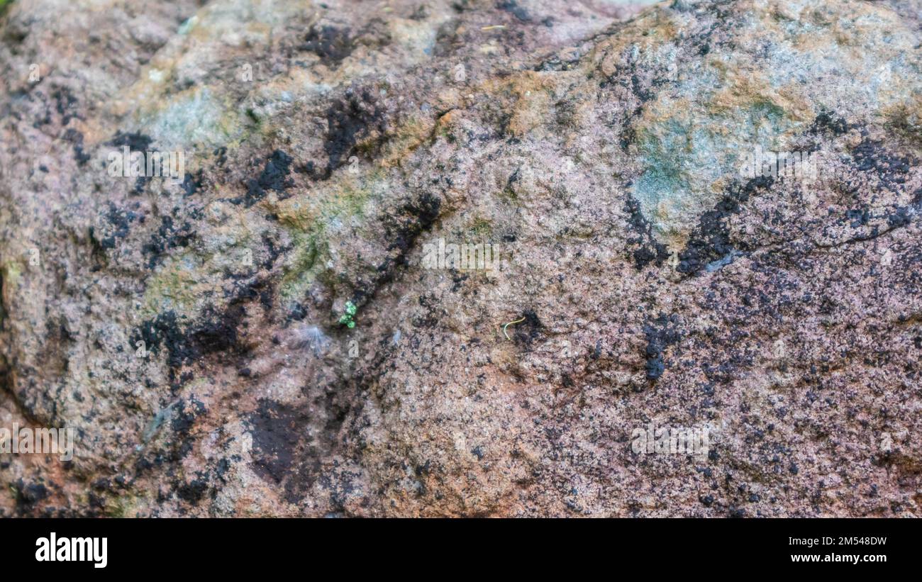 amazing stone texture as background Stock Photo - Alamy