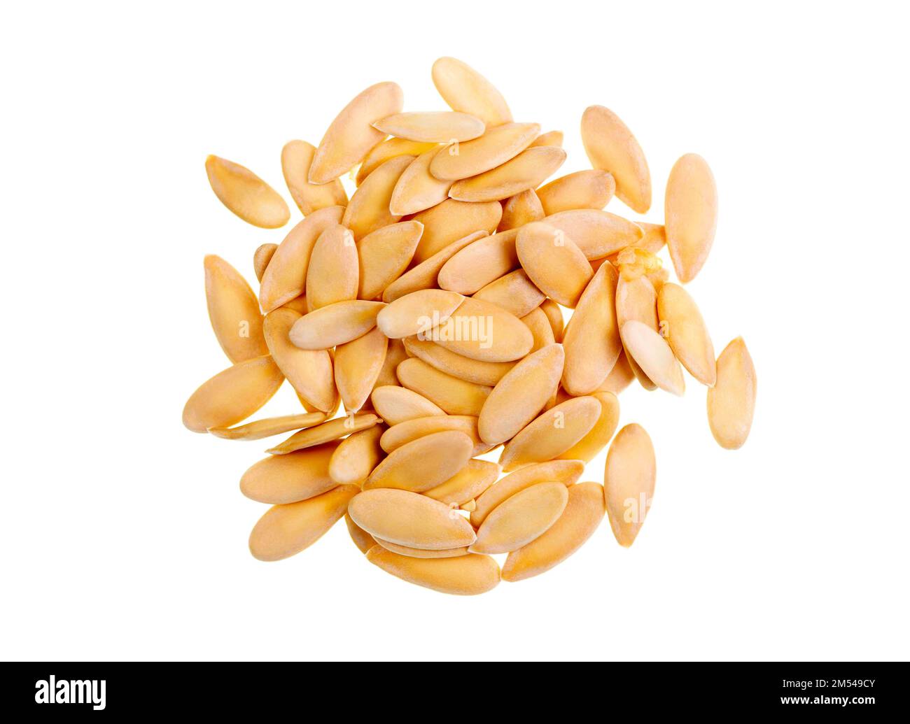 Seeds from the Rockmelon or Cantaloupe melon, Cucumis melo, a medium to ...