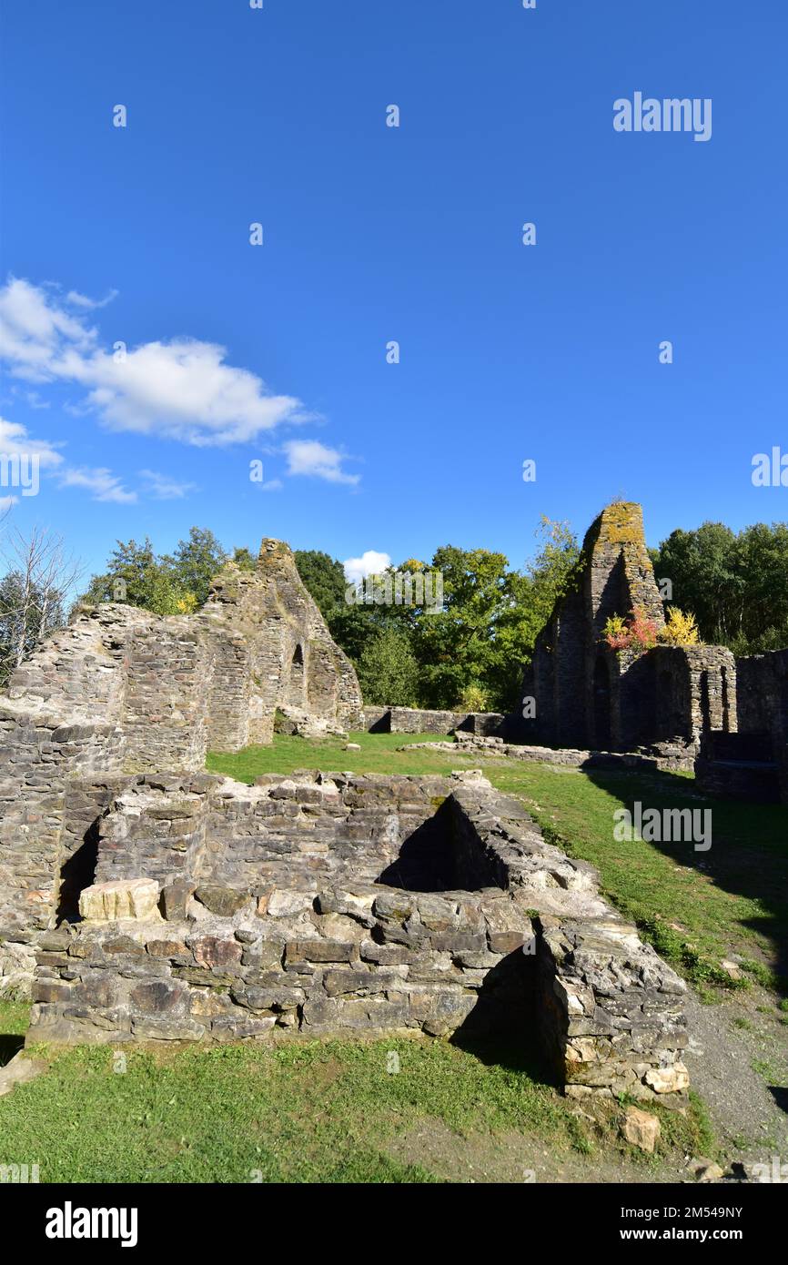 The ruins of the moated castle of Baldenau in the valley of the Dhron ...