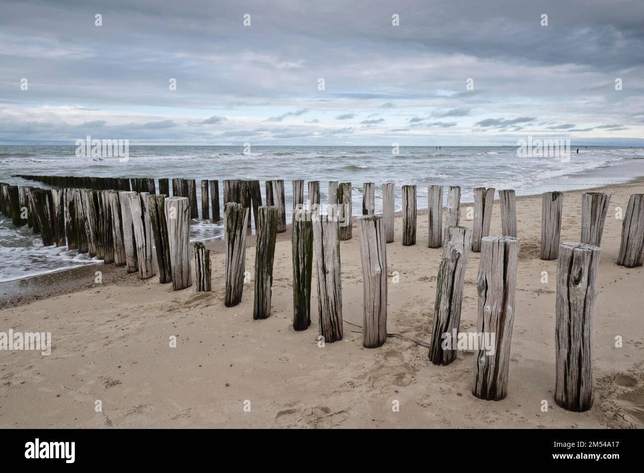 Groynes on the beach, Zeeland Province, Netherlands Stock Photo - Alamy