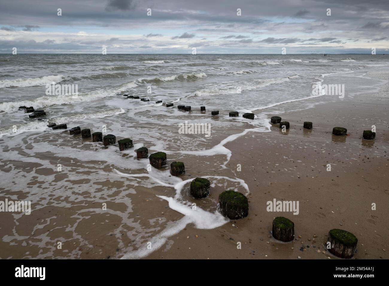 Groynes on the beach, Zeeland Province, Netherlands Stock Photo - Alamy