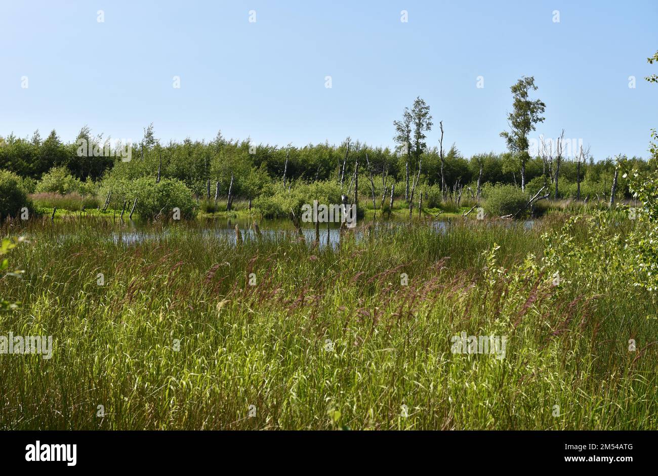 Landscape dithmarschen hi-res stock photography and images - Alamy