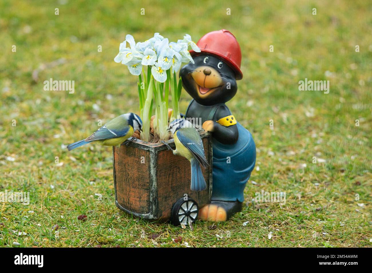 Blue Tit Two Birds Sitting on Mole Figure with Flower Stick in Green ...