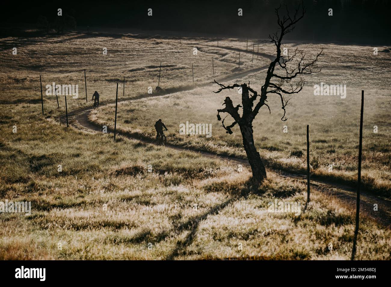 Action, active, activity, adventure, background, beautiful, bicycle ...