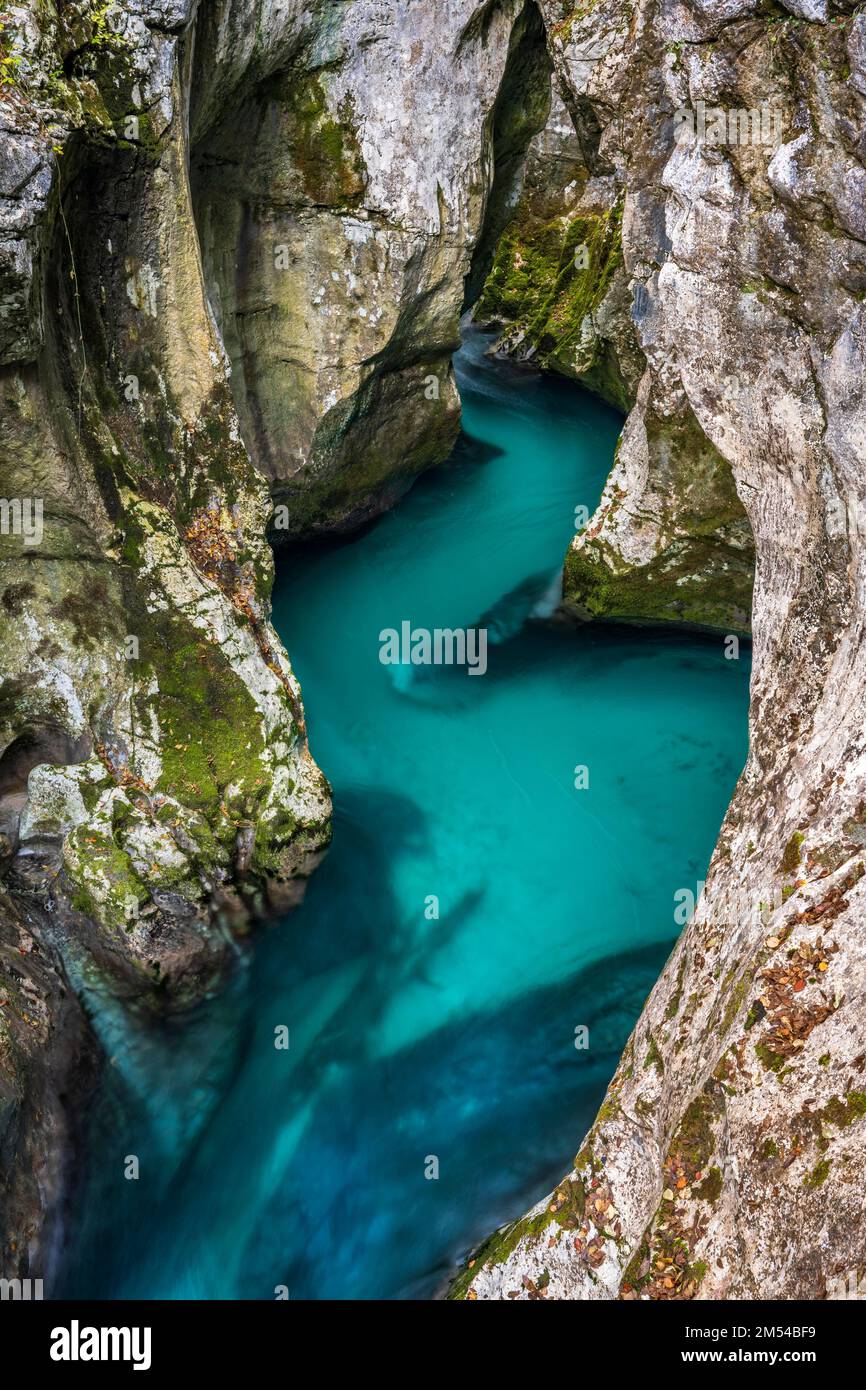 Mountain river Soca flows through narrow canyon, Soca Valley, Triglav ...