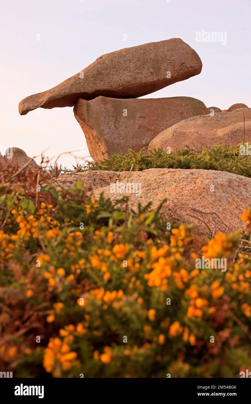 Rocks near Ploumanac'h on the Cote de granite rose, Brittany, France ...