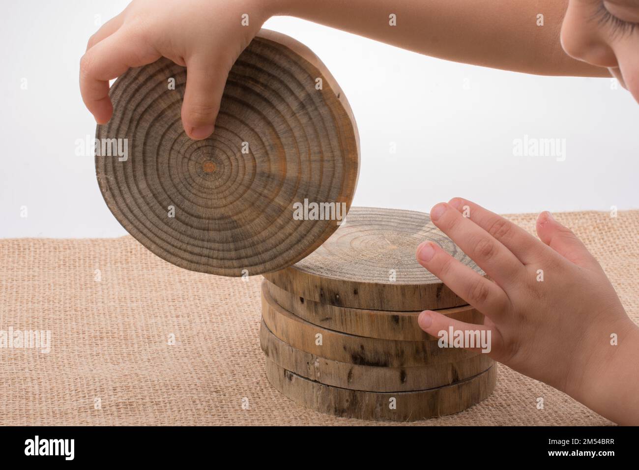 Wood Log cut in round thin pieces in hand Stock Photo - Alamy