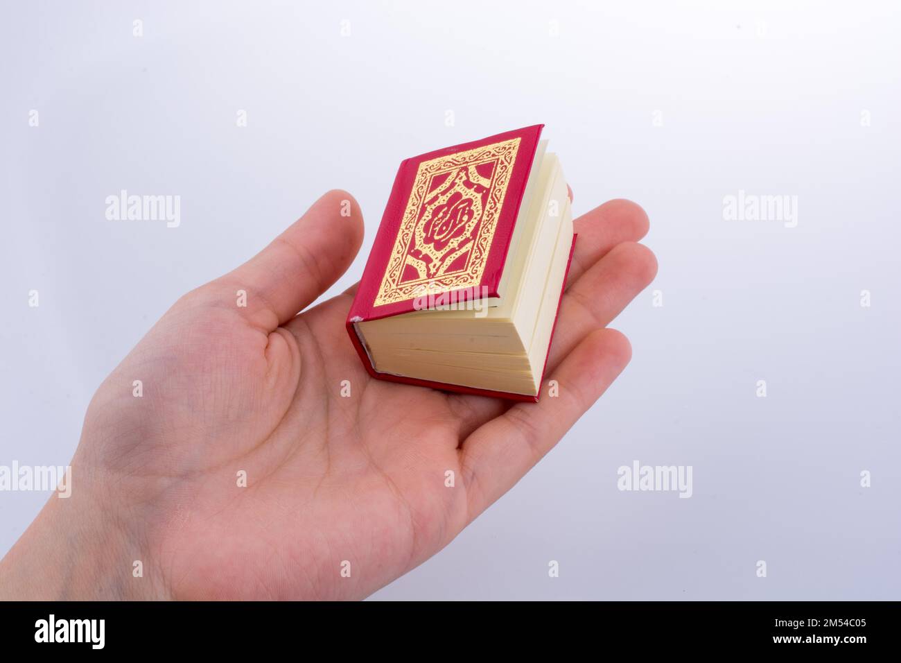 Hand holding The Holy Quran on a white background Stock Photo - Alamy