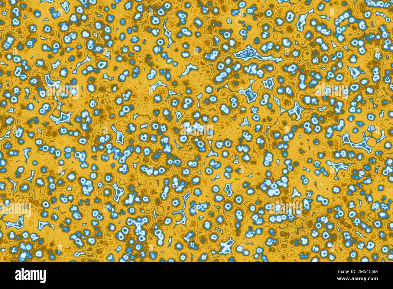 Shape of bacterial cell: cocci, bacilli, spirilla bacteria background ...