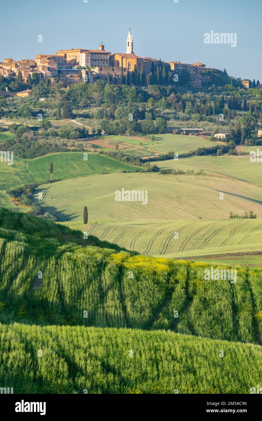 Landscape around Pienza, Val dOrcia, Orcia Valley, UNESCO World ...