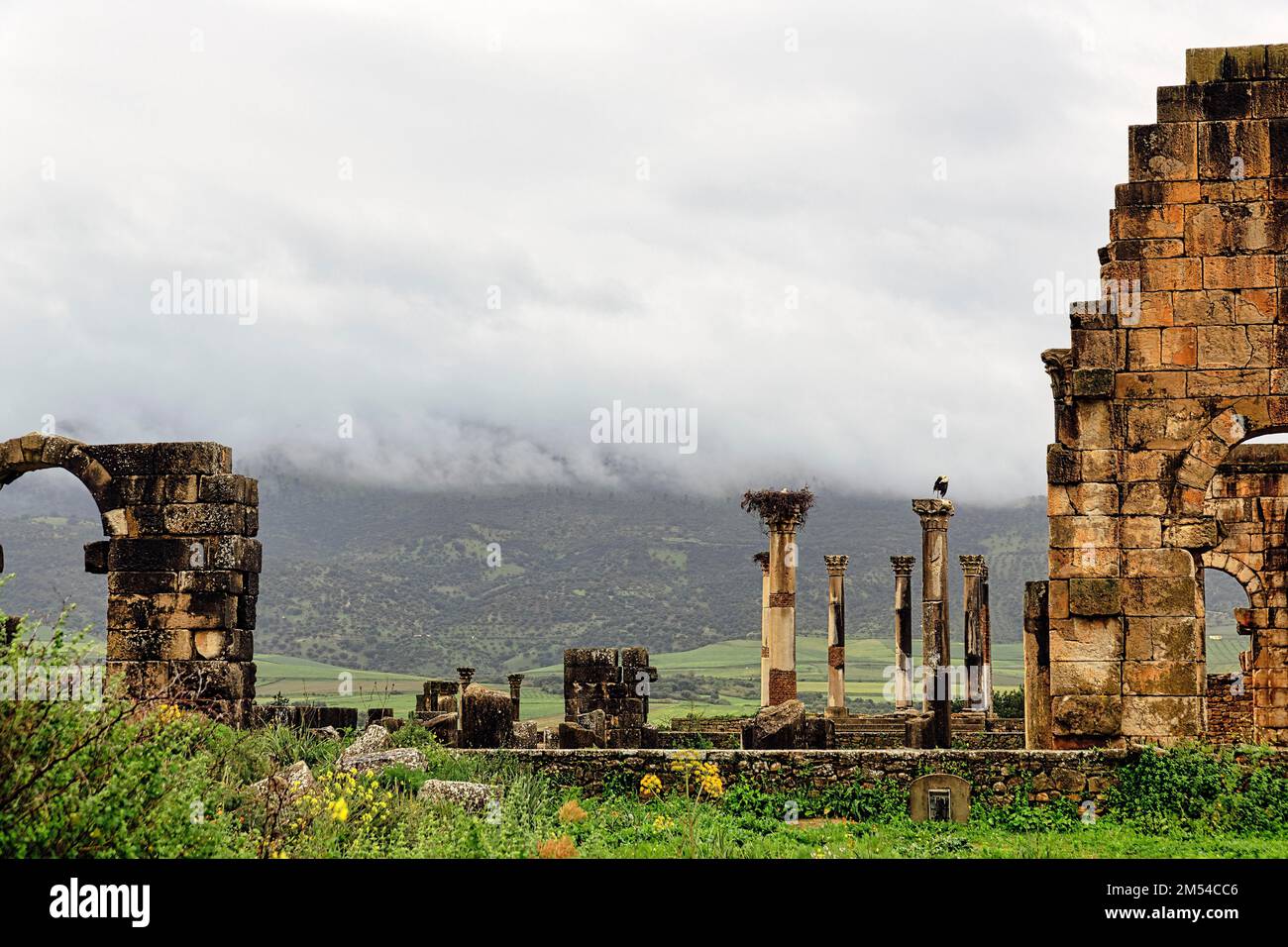 Roman ruins of Volubilis, UNESCO World Heritage Site, nests of storks ...