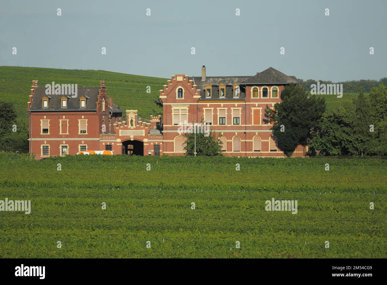 Former champagne cellar in the vines, villa, wine-growing area ...