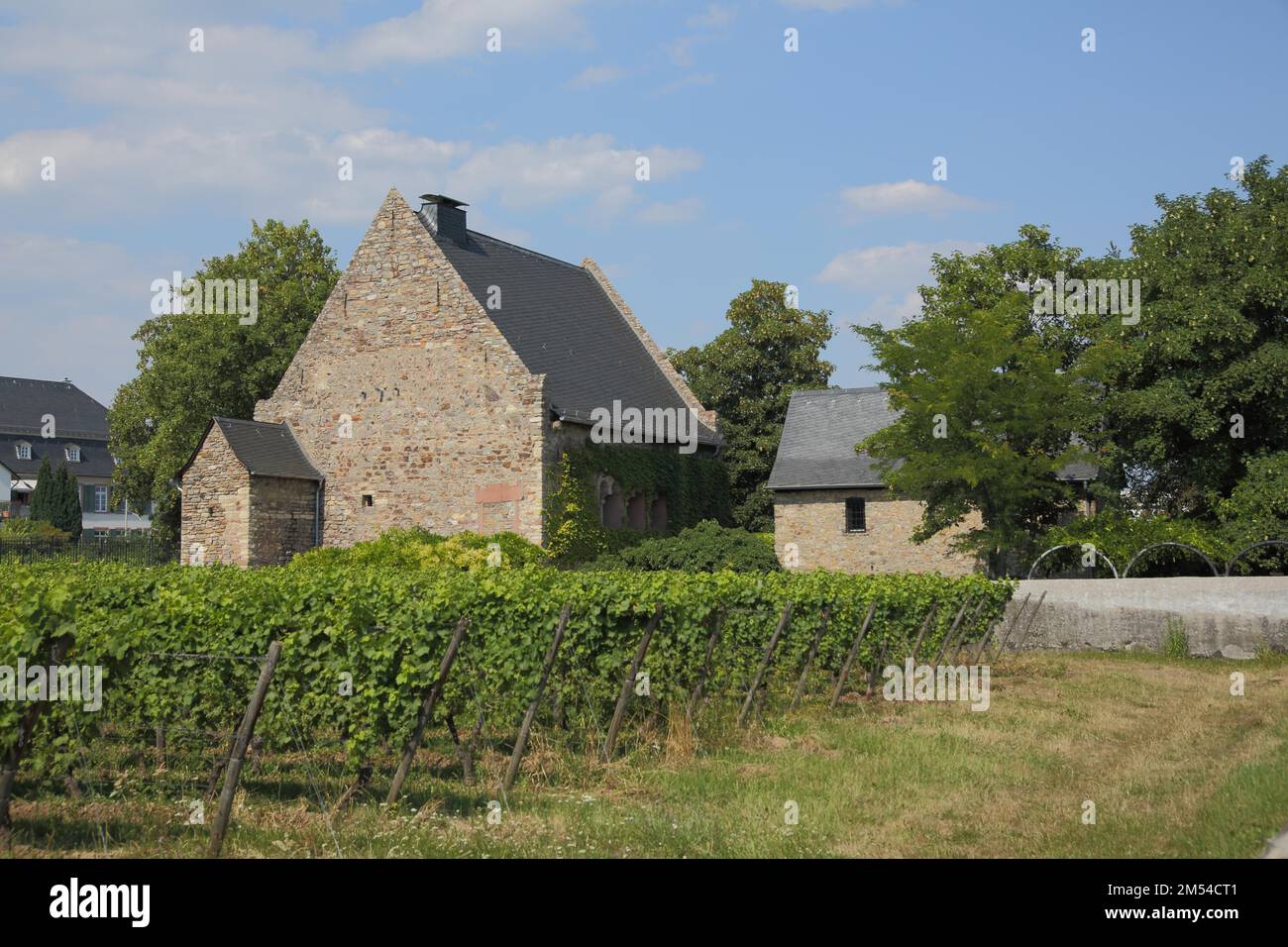 Historic Grey House with Vines, Winkel, Oestrich-Winkel, Rheingau ...