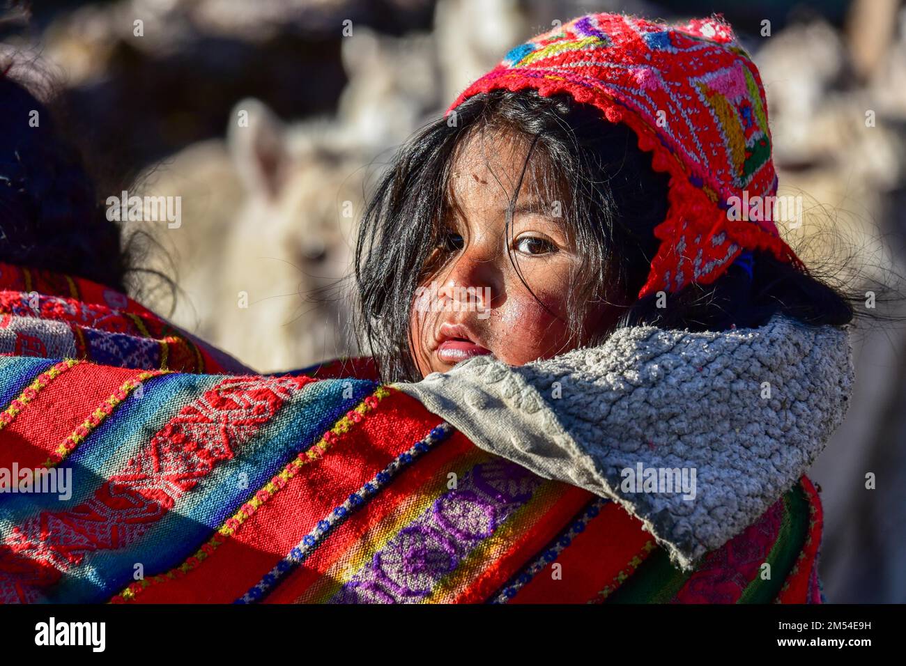 Small child in sling in traditional dress of the Quechua Indians ...