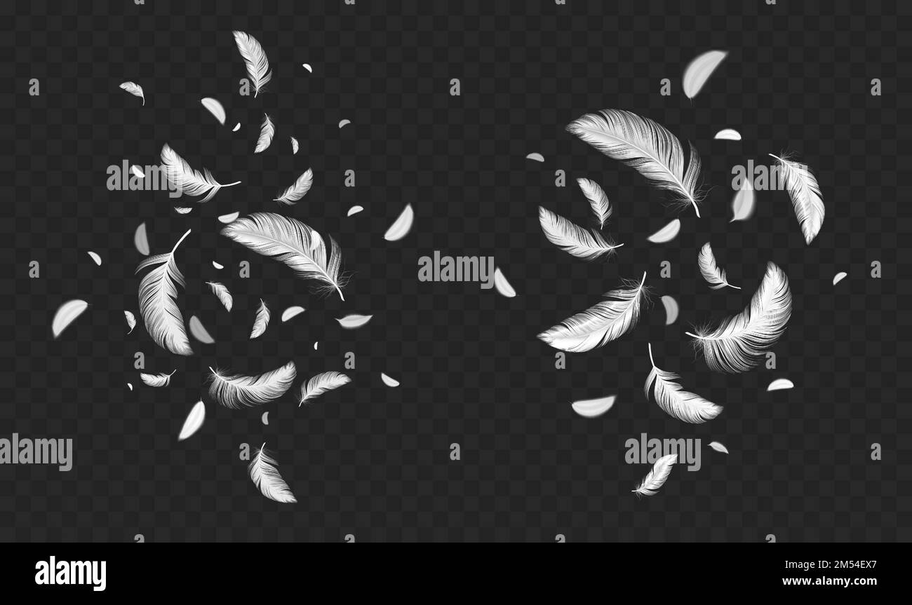 Falling white soft feathers, bird plumage splash. Fluffy quills flying ...