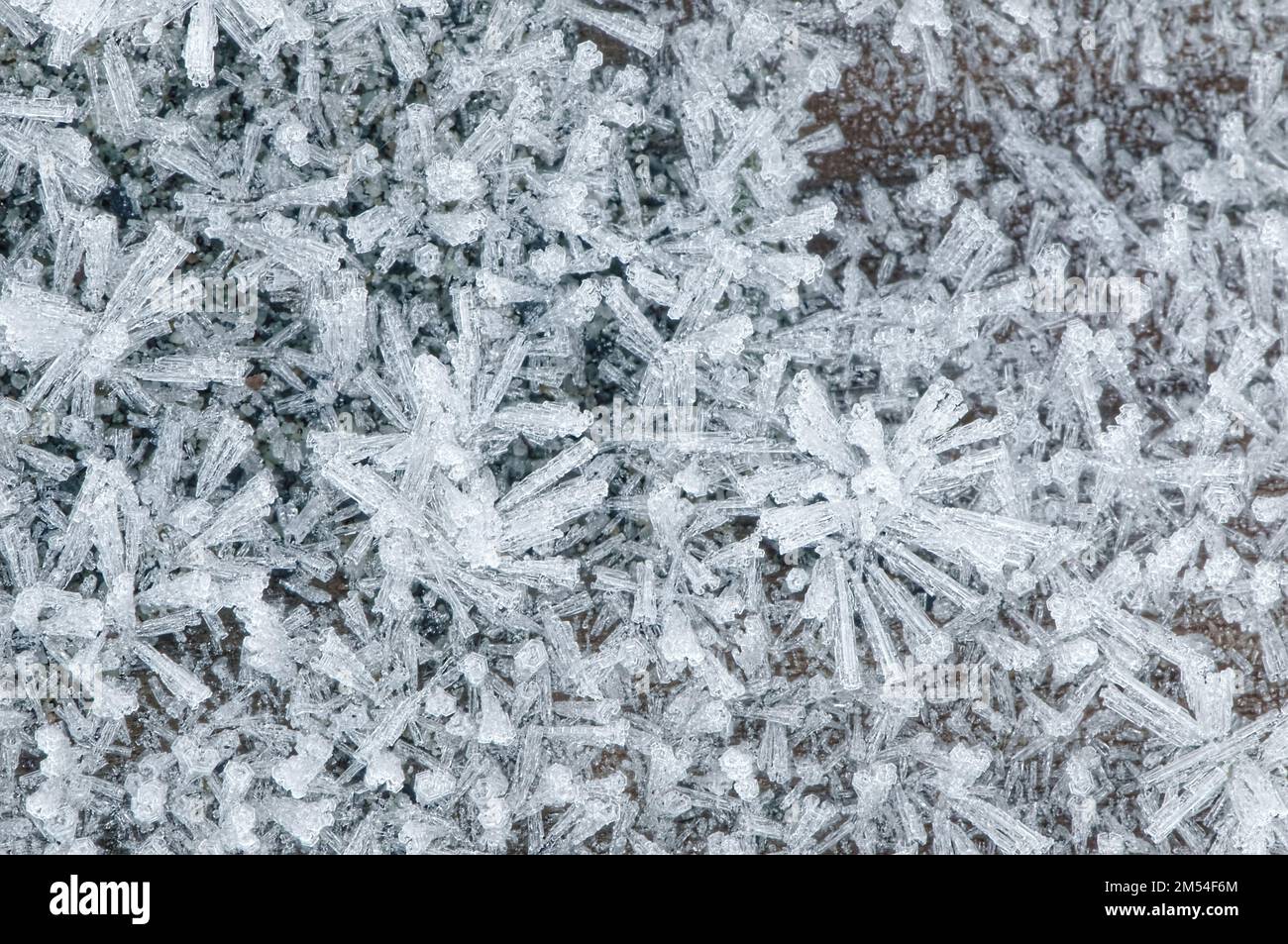 No ground frost hi-res stock photography and images - Alamy