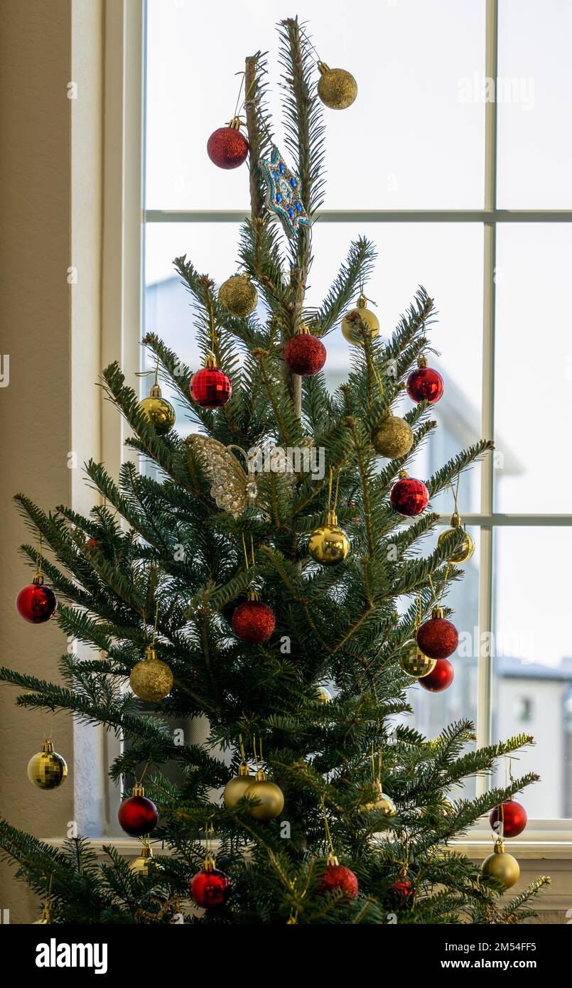Decorated Christmas tree in front of the window during the day Stock ...