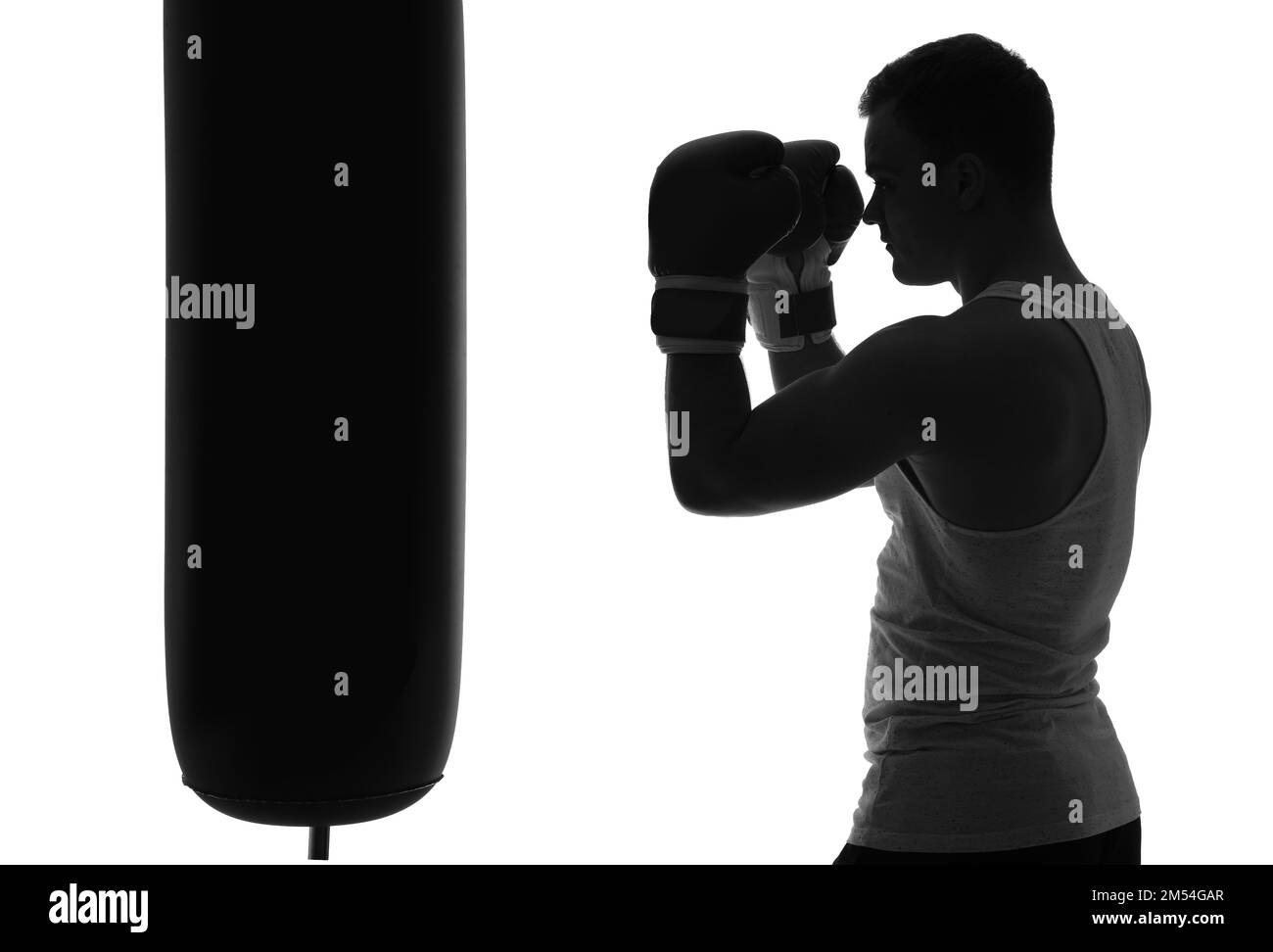 Silhouette of male boxer punching bag on white background Stock Photo ...