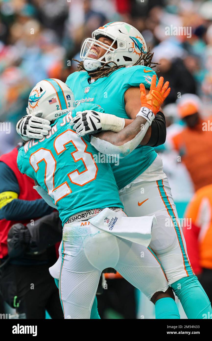 Robert hunt dolphins hi-res stock photography and images - Alamy