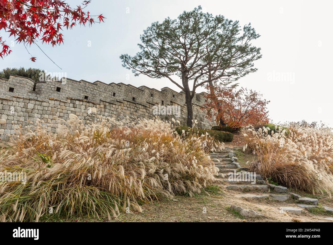 autumn landscape, scenery of Suwon Hwaseong in Korea Stock Photo - Alamy