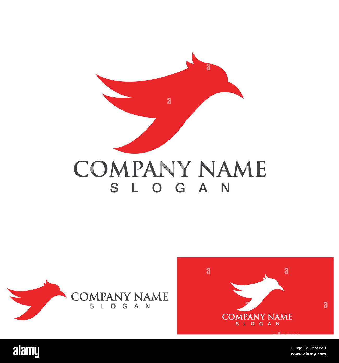 Falcon bird eagle Logo Template vector illustration design Stock Vector ...