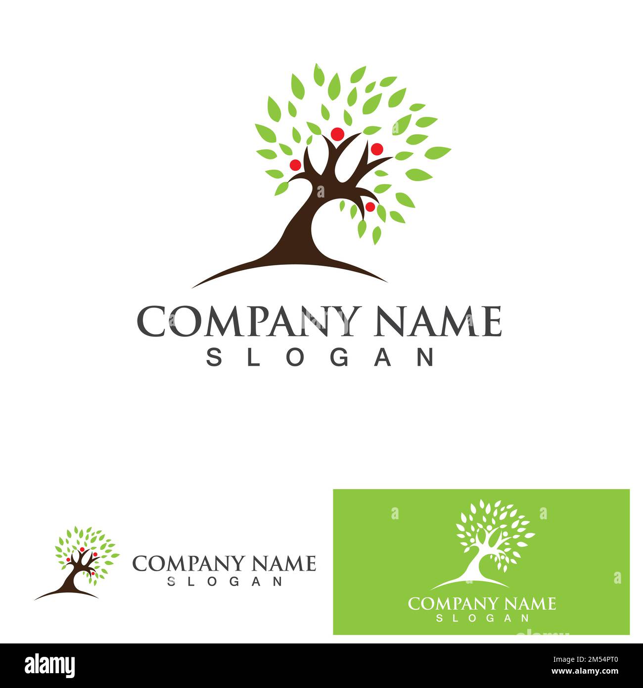 Family learning about nature Cut Out Stock Images & Pictures - Alamy