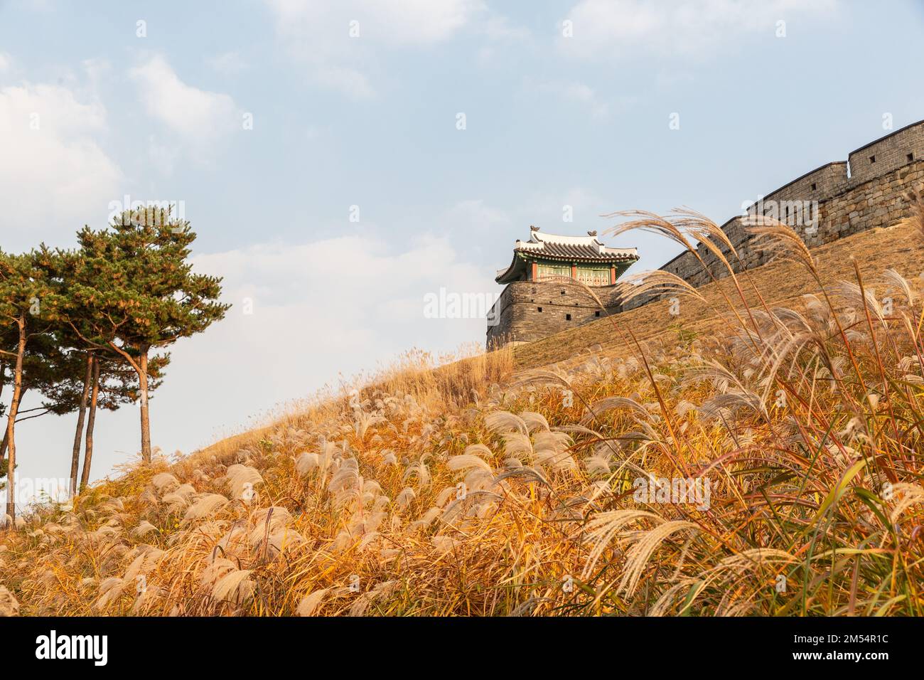 autumn landscape, scenery of Suwon Hwaseong in Korea Stock Photo - Alamy