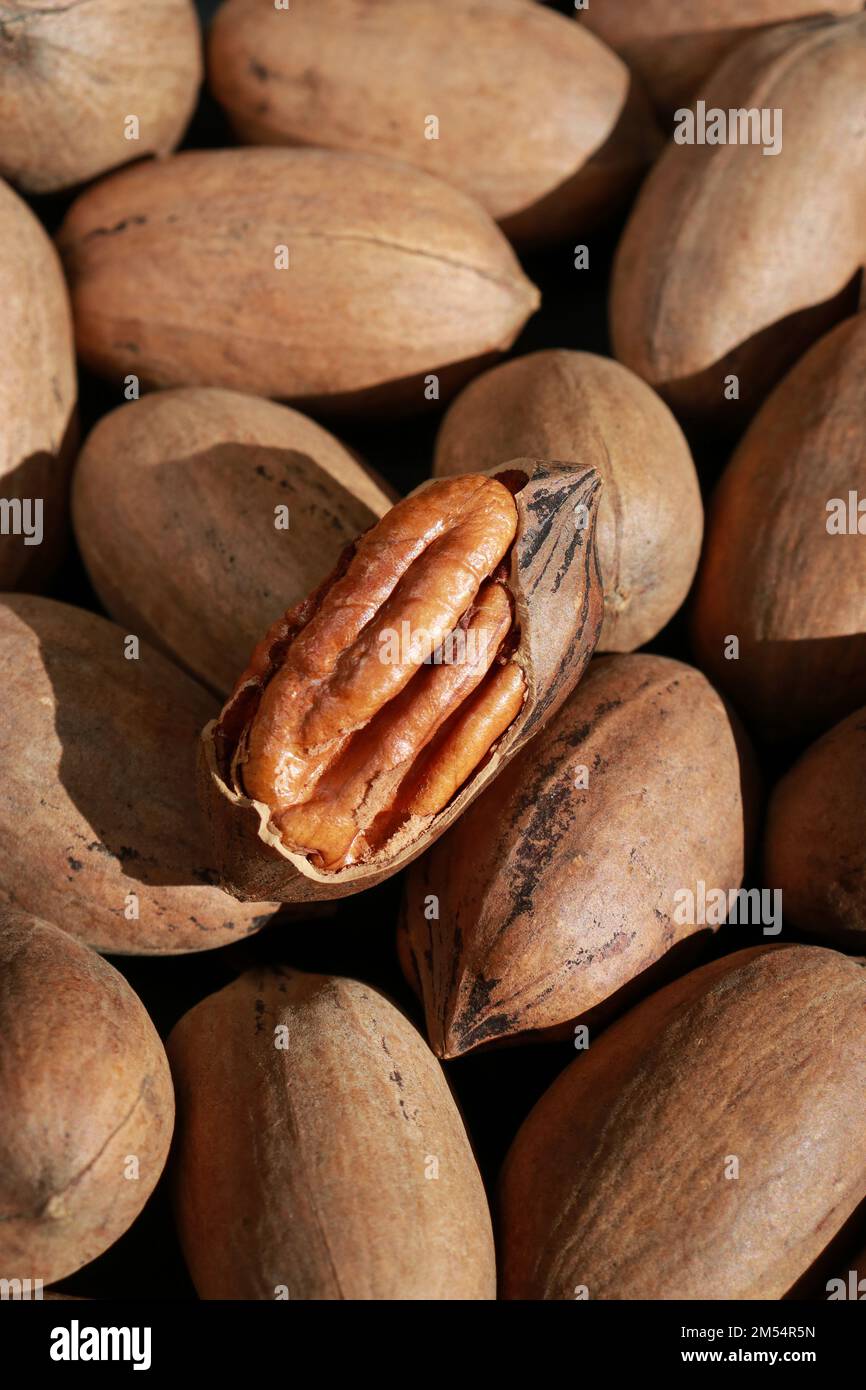 close up of pecan nuts in shell, one nut cracked, background Stock ...