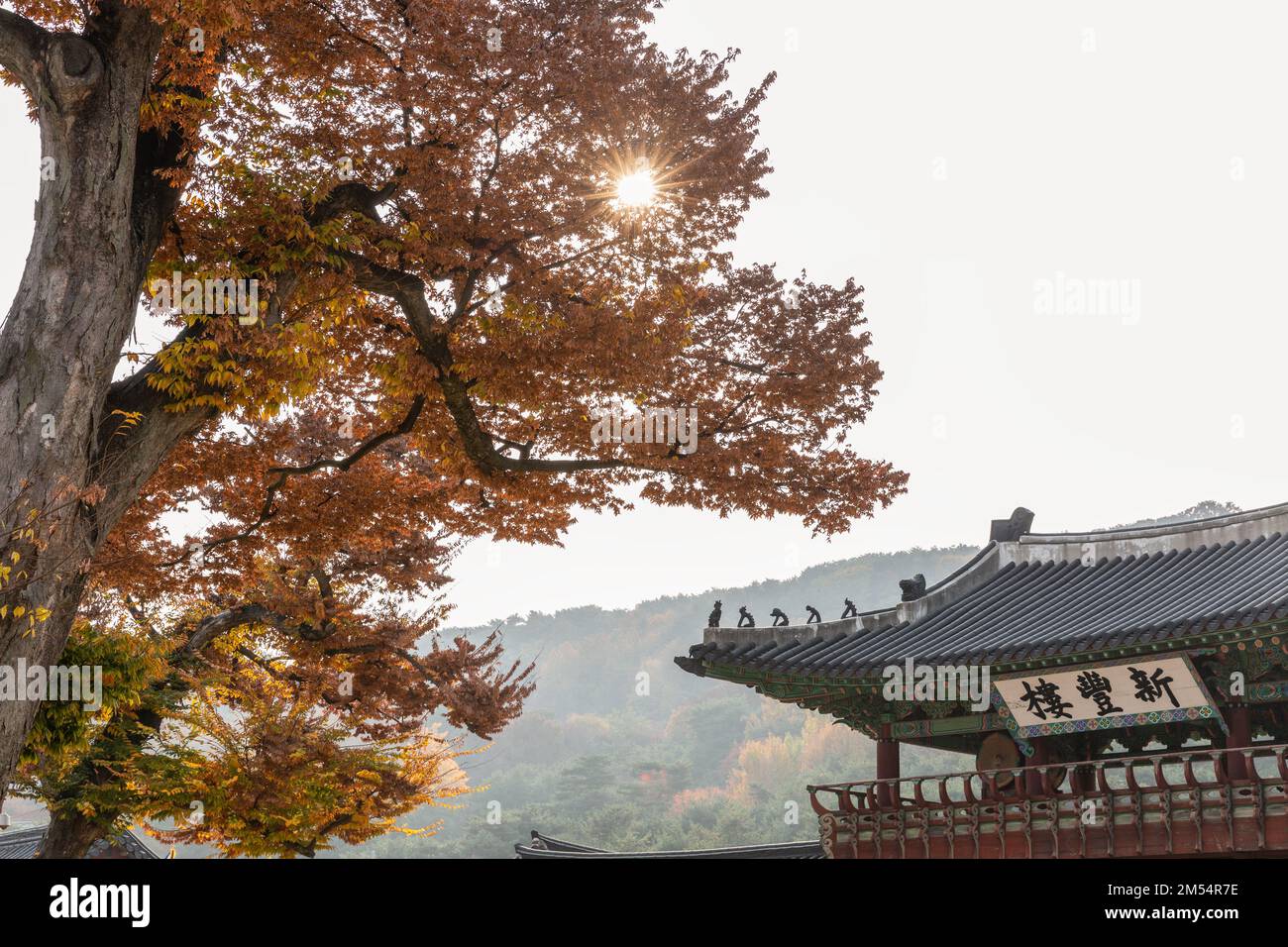 autumn landscape, scenery of Suwon Hwaseong in Korea Stock Photo - Alamy