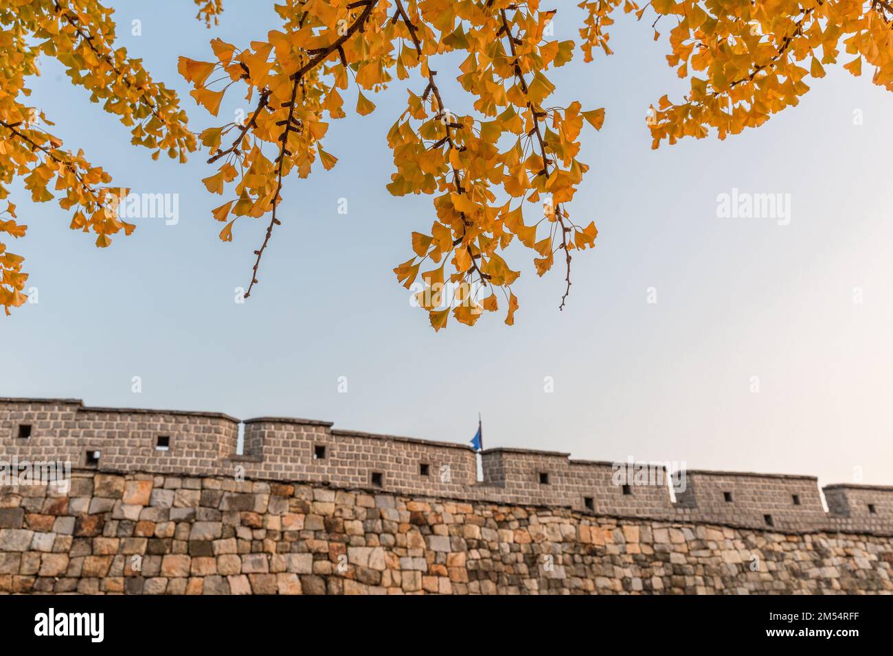 autumn landscape, scenery of Suwon Hwaseong in Korea Stock Photo - Alamy