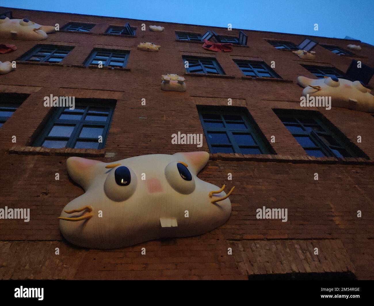 A "Cat Wall" appeared in Yuzhong District, Chongqing, China, 22 ...